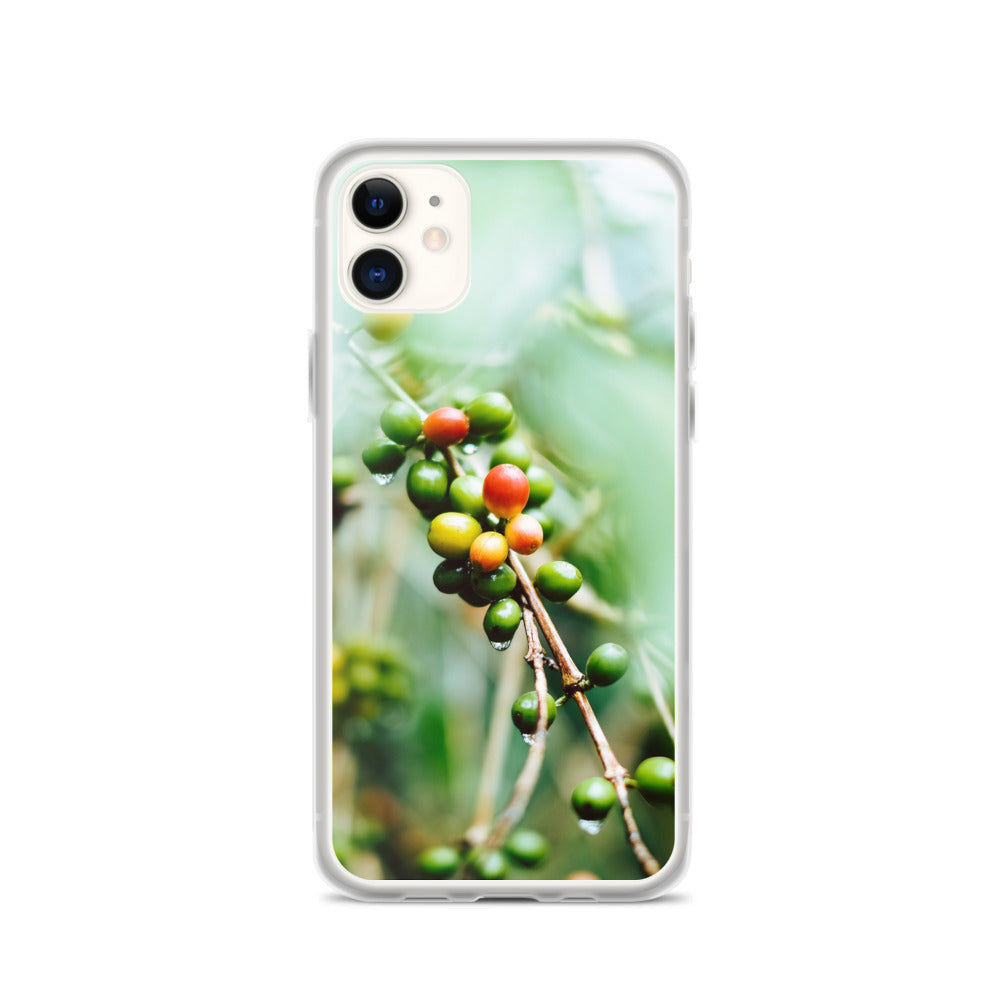 Coffee iPhone Case | Fresh Coffee Beans With Rain - The Coffee Club